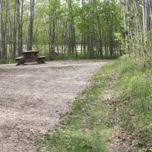 Camp Site Pictures – Welcome to the Lindbrook Star Gazer Campground