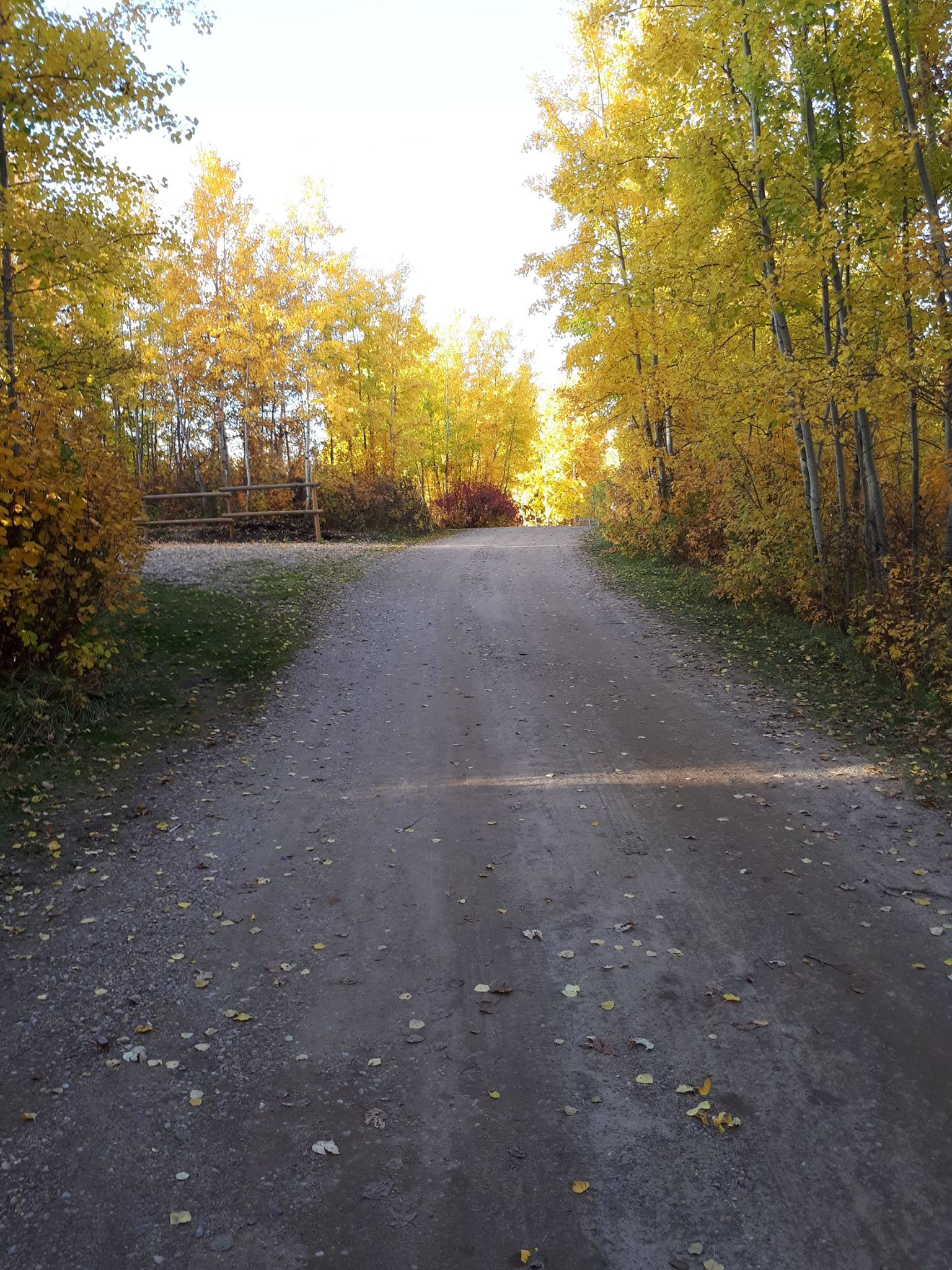 2020 – Welcome to the Lindbrook Star Gazer Campground